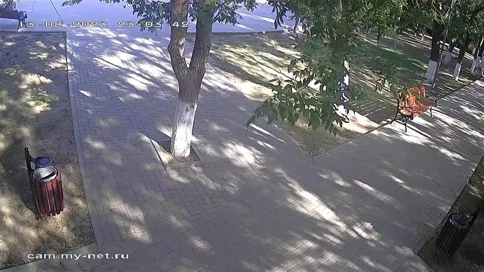 Сámara web en vivo Parque de Mirniy, vista 6, Evpatoria