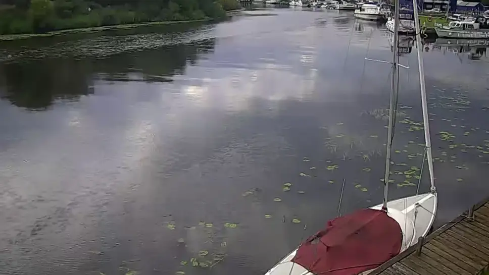 Live Webcam River Yare, Brundell