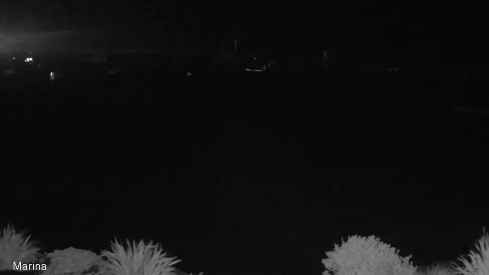 Live Webcam Port Taranaki, New Plymouth