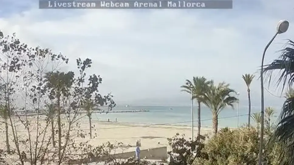 Live Webcam Arenal Mallorca, Spain