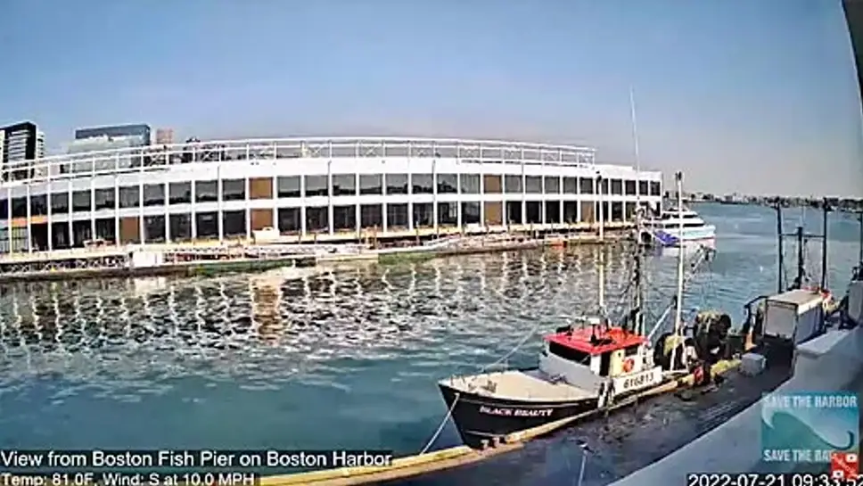 Live Webcam Boston Harbor Fish Pier