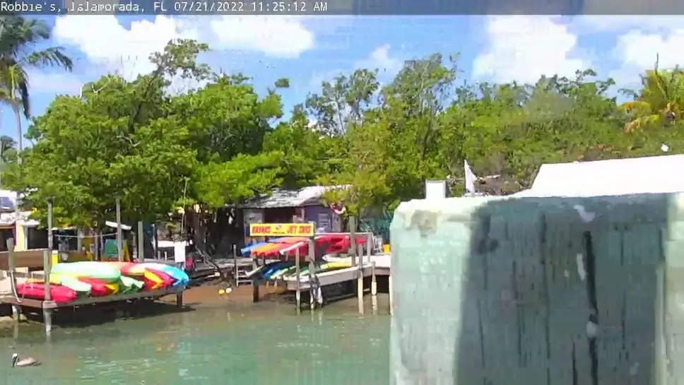 Live Webcam Robbie's Marina, Florida