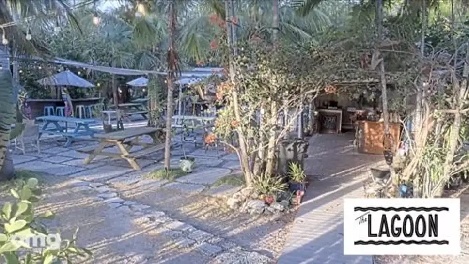 Webcam online Lagoon Grassy Key, FL