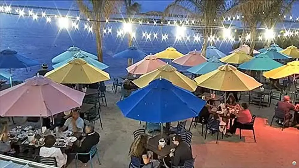 Kamera na żywo Macky's Live, MD