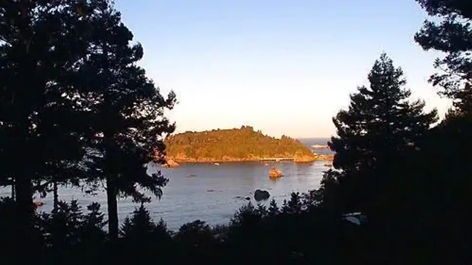 Live Webcam Trinidad Harbor